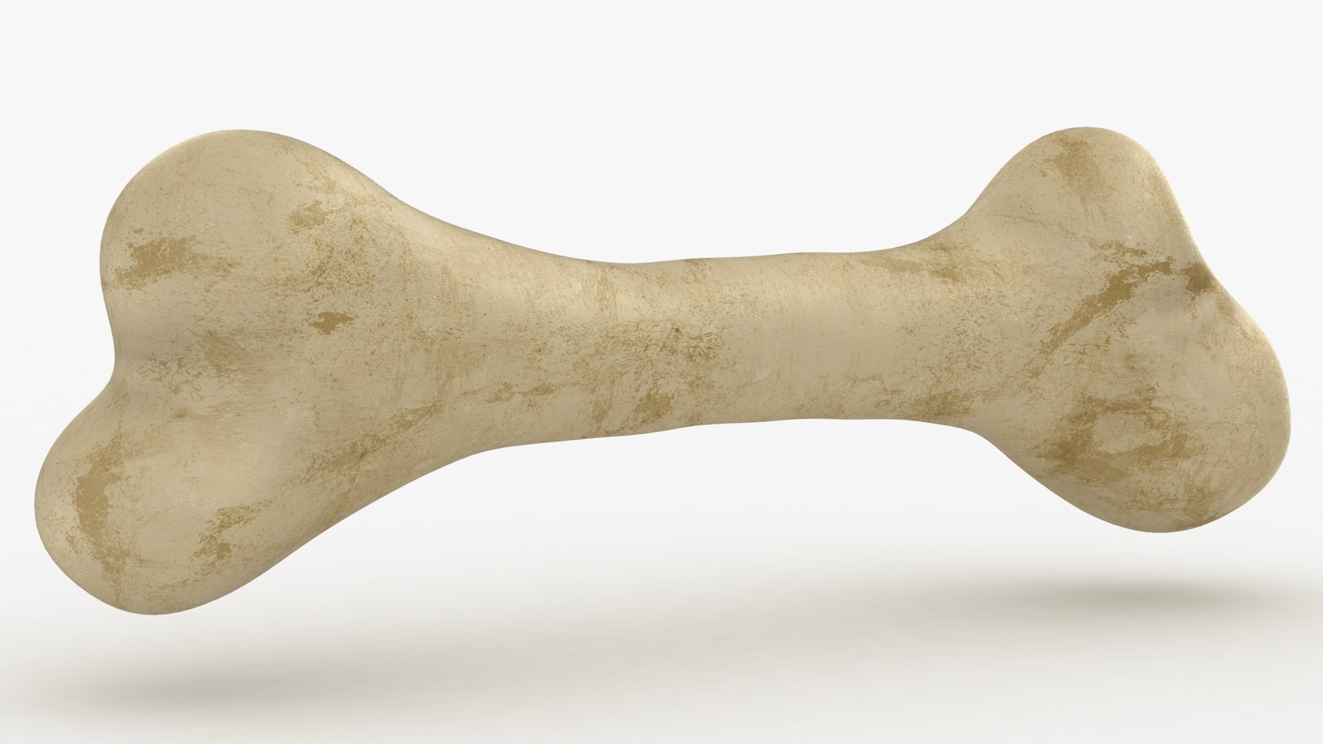 Realistic dog bone 3D - TurboSquid 1566272