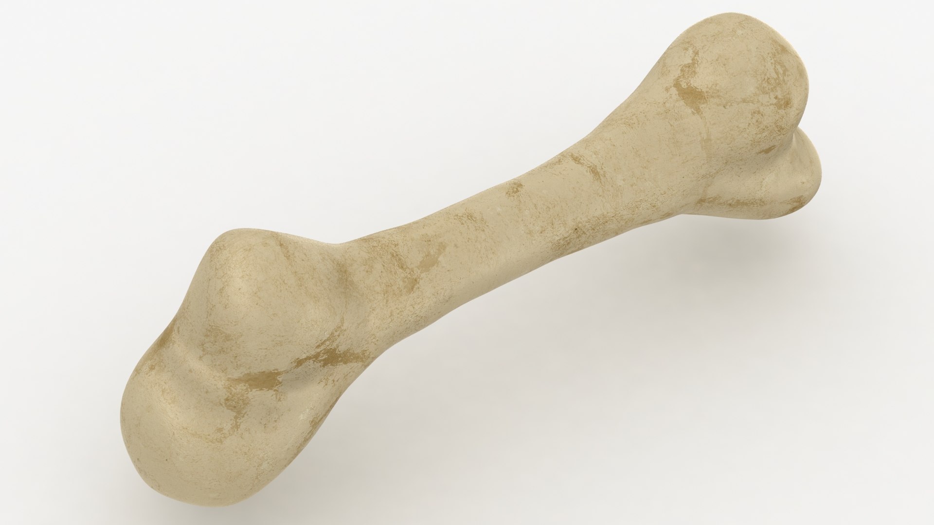 Realistic Dog Bone 3D - TurboSquid 1566272