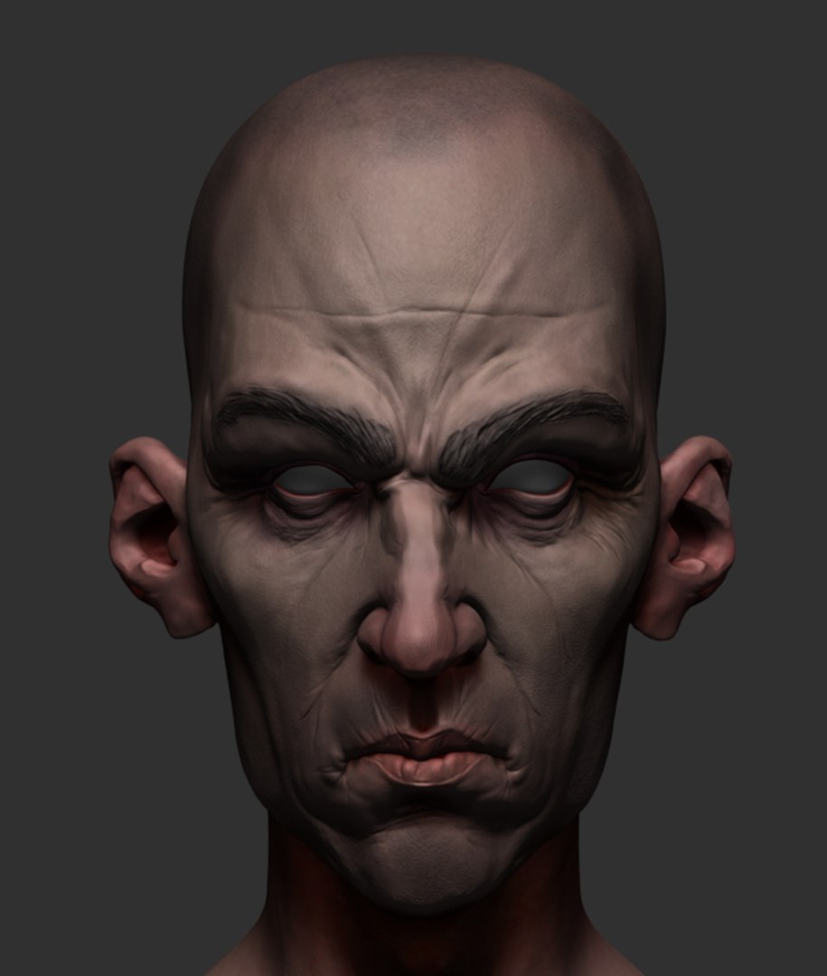 3d Model Stylized Head