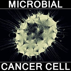 Animated 3D Cancer Cell Models For Download | TurboSquid