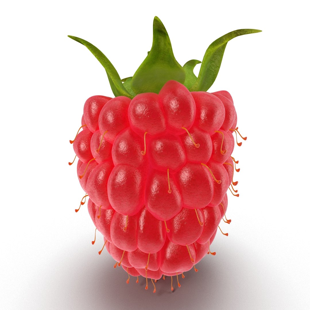 Max Raspberry 3