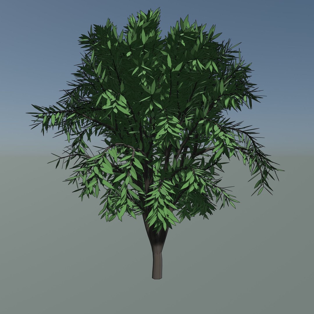 3D Simple Tree 24L04 Model - TurboSquid 2257933