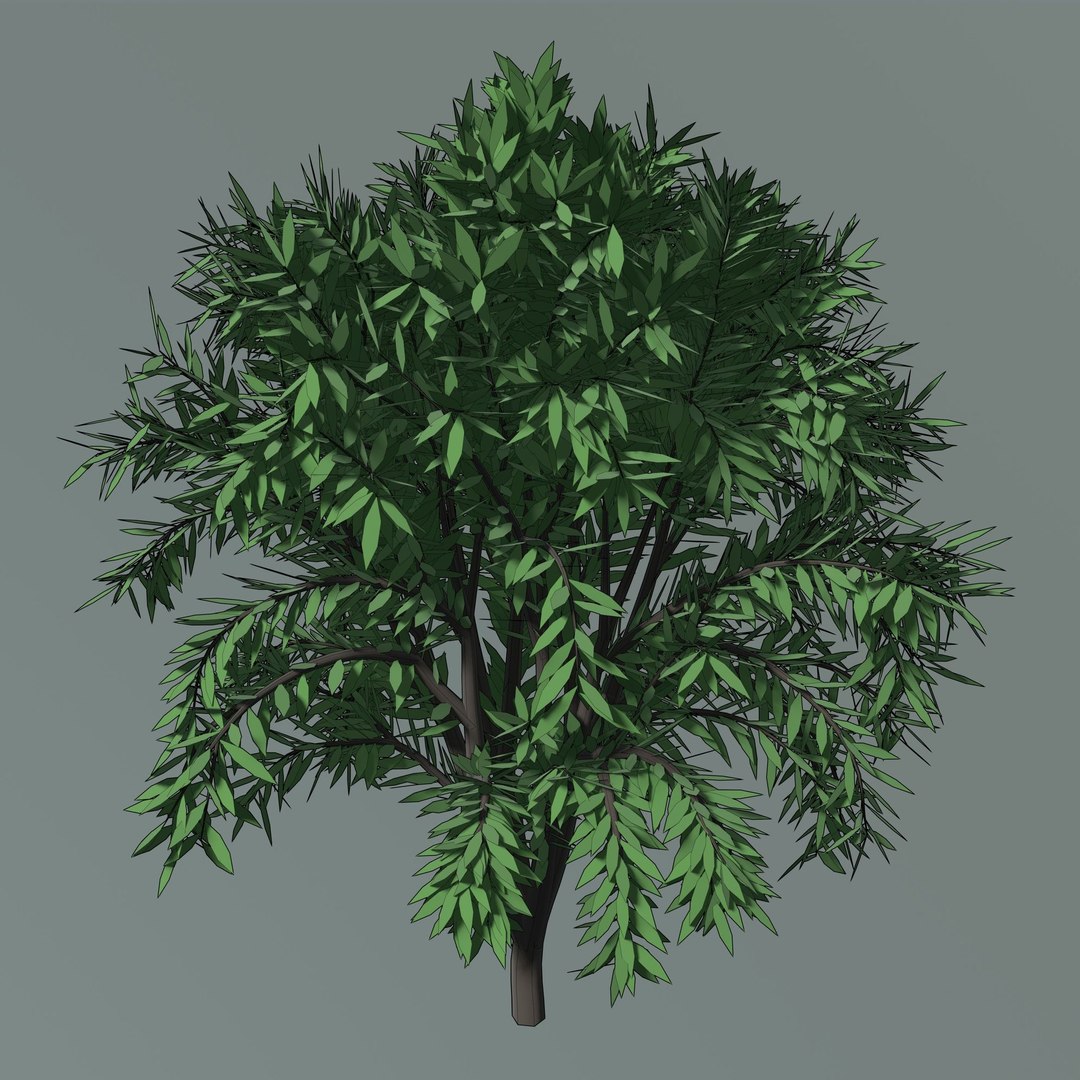 3D Simple Tree 24L04 Model - TurboSquid 2257933
