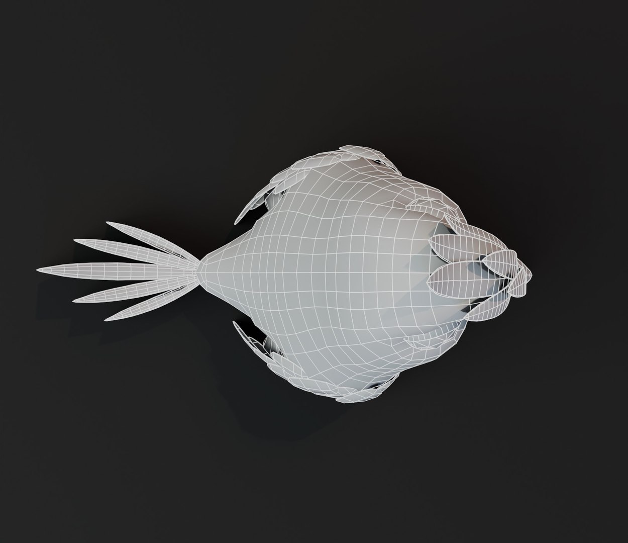 3D Cartoon Parrot Bird Base Mesh Model - TurboSquid 1547049