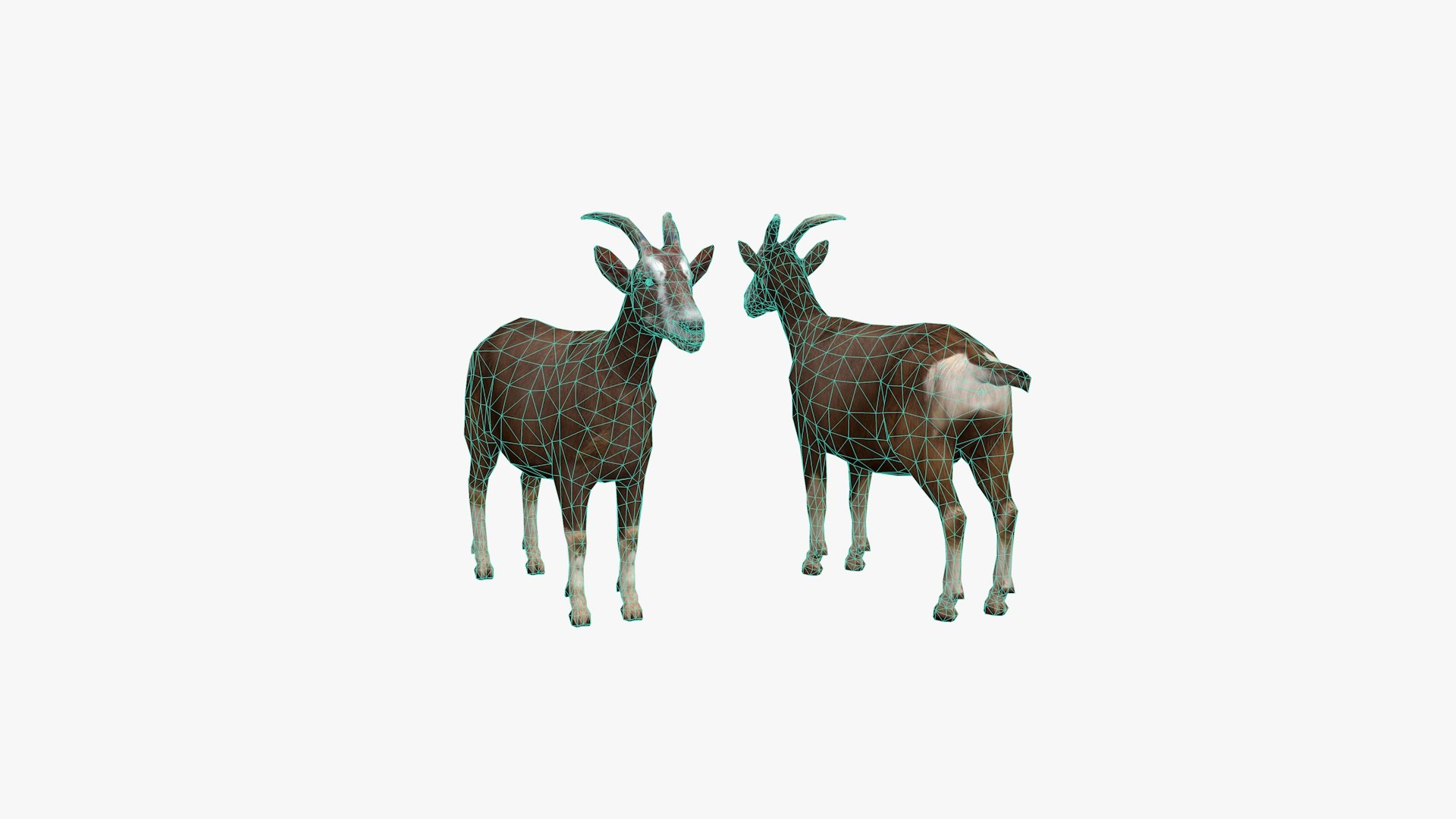 3D Goat - TurboSquid 1837771