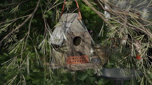Download Free 3D Bird House Blender Models - TurboSquid