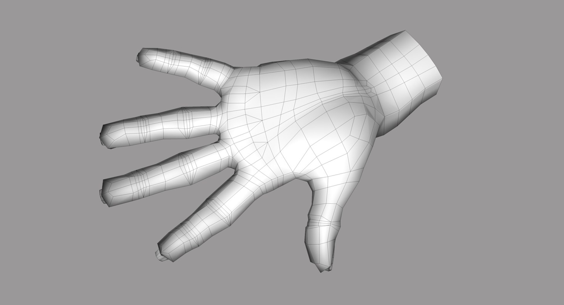 Female Human Hand 3D Model - TurboSquid 1203859