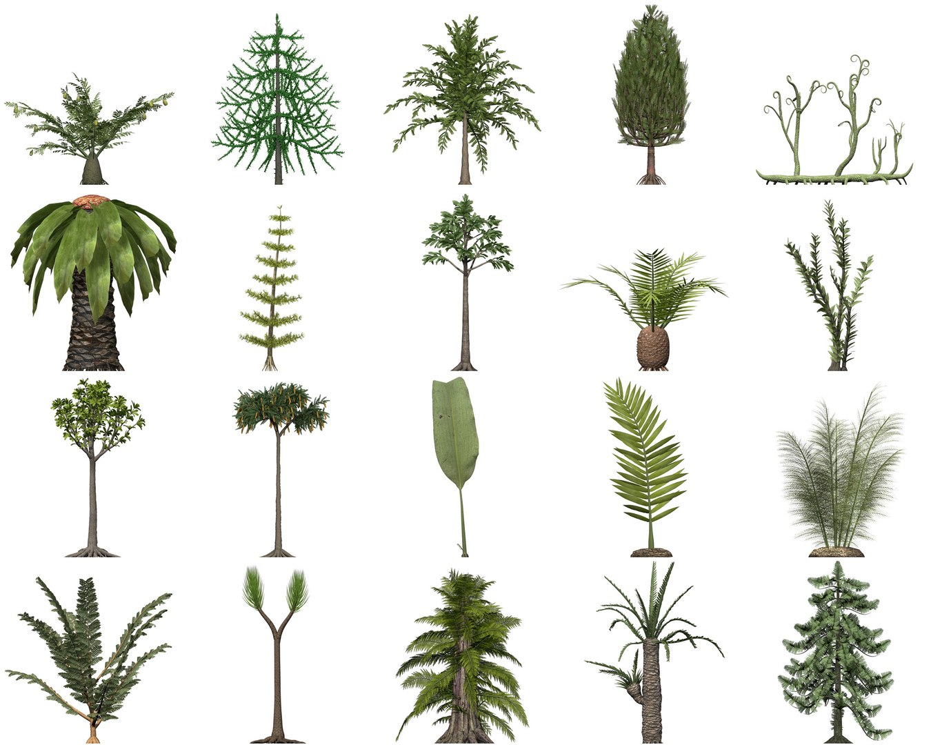 Prehistoric Trees Plants Xfrogplants Obj