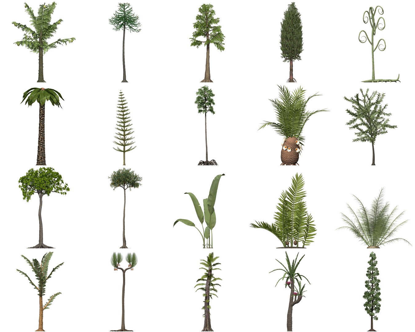 Prehistoric Trees Plants Xfrogplants Obj