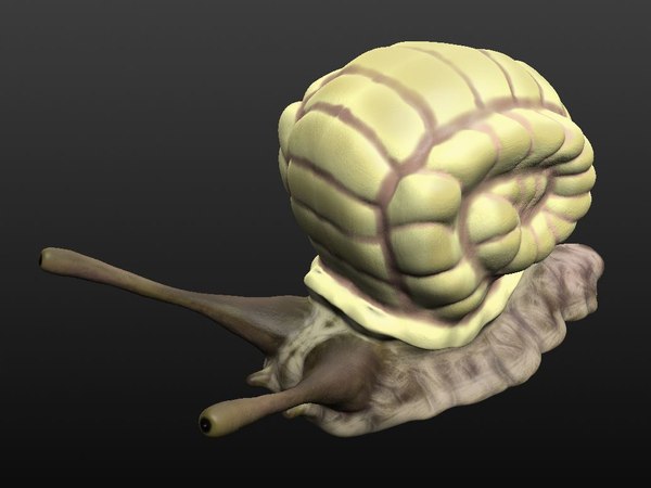 snail render animation 3ds