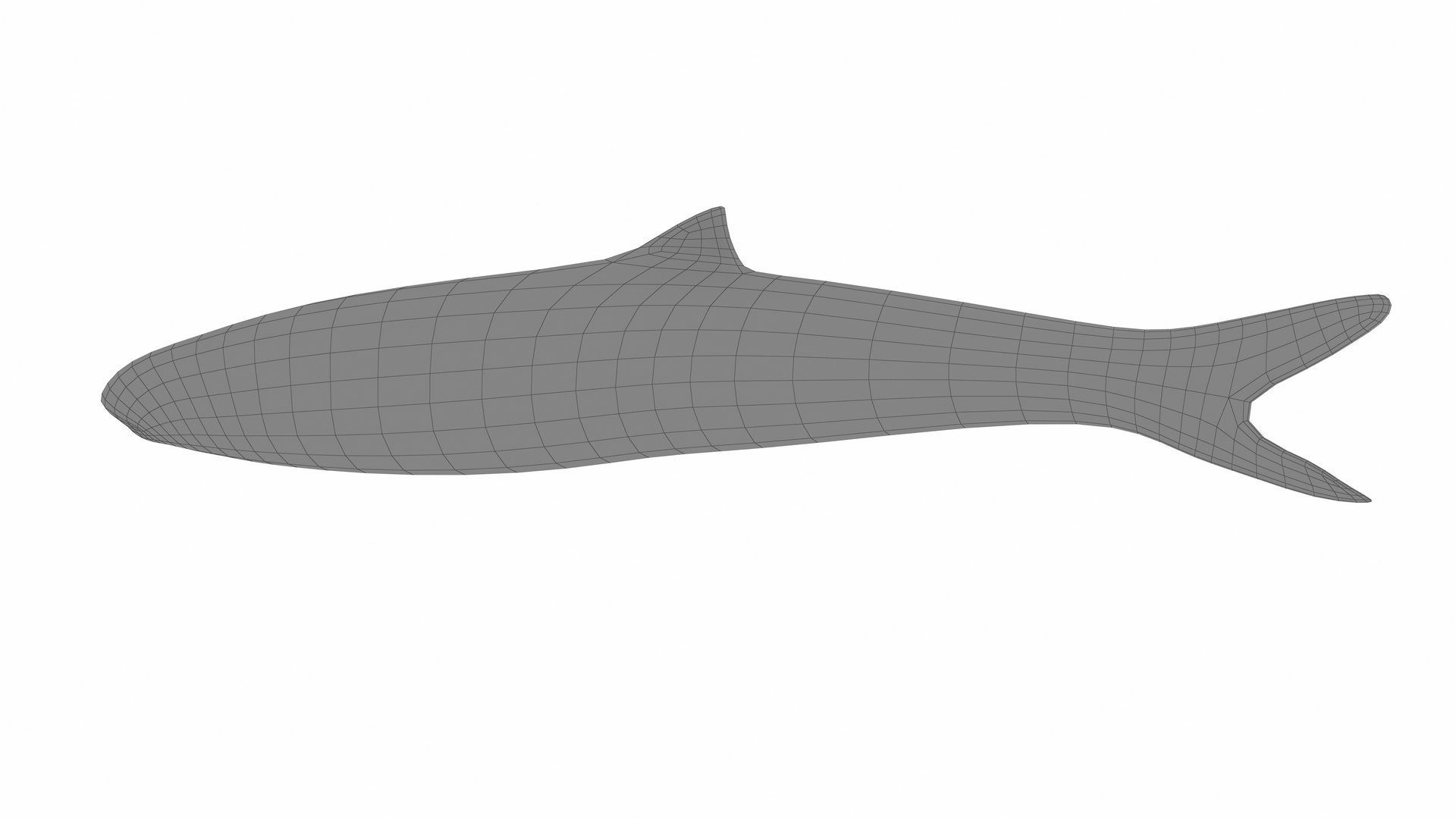 3D Model Anchovy - TurboSquid 2387069