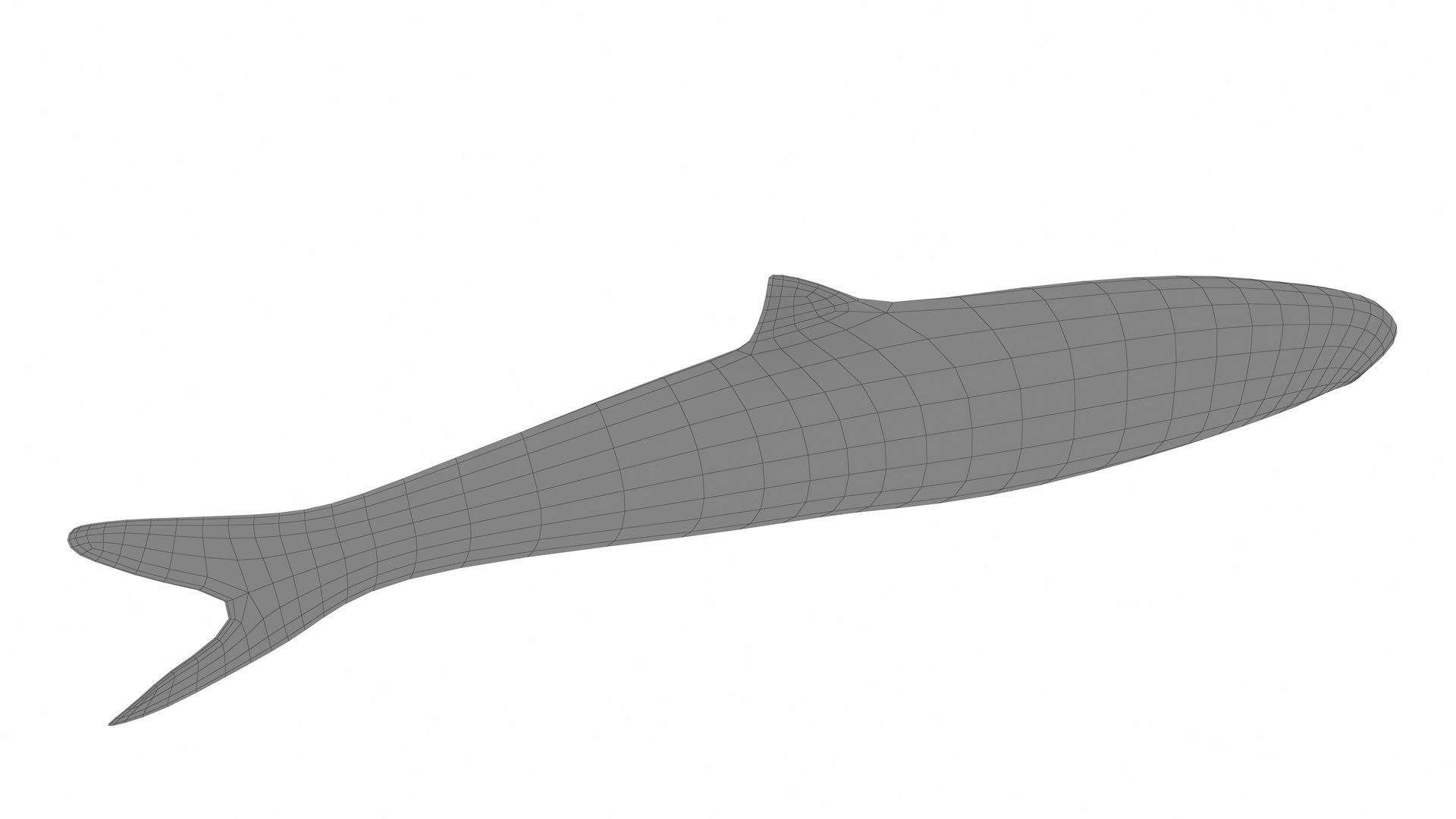 3D Model Anchovy - TurboSquid 2387069