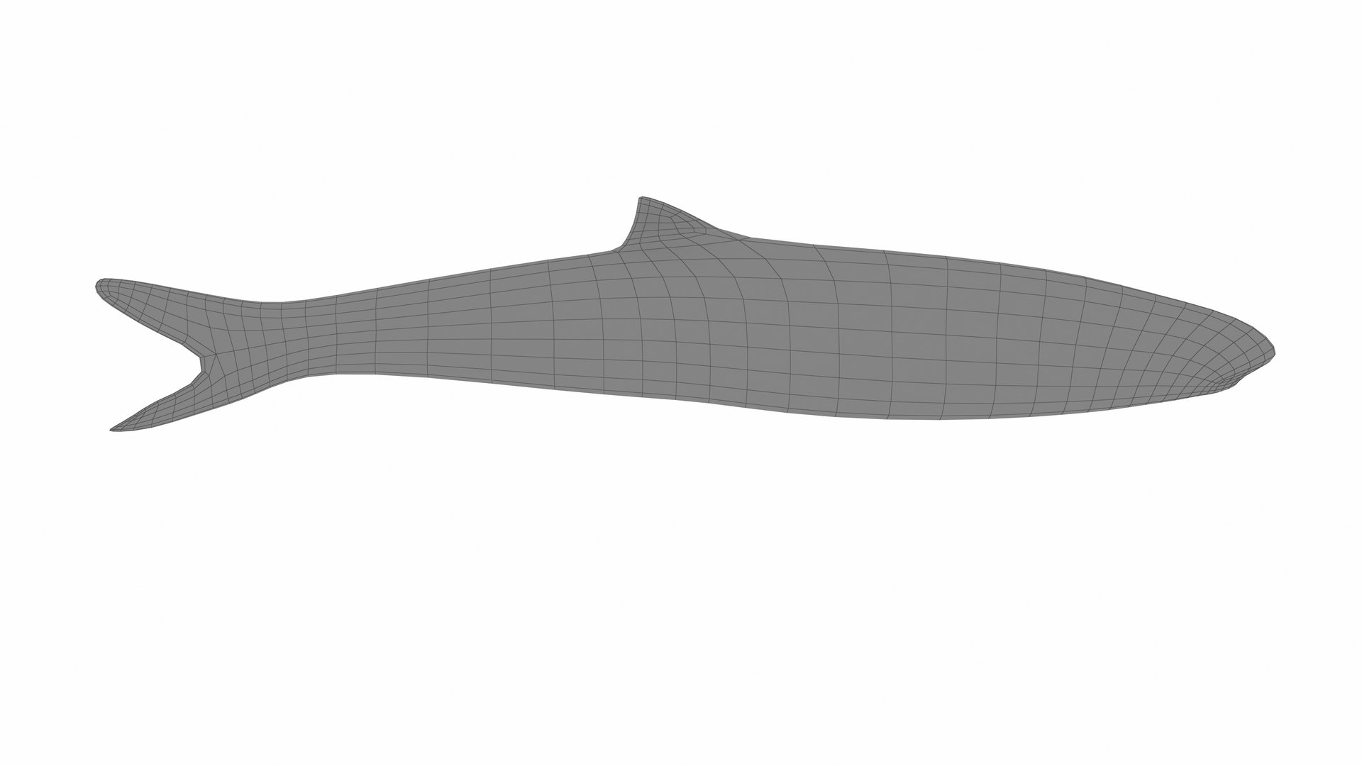 3D Model Anchovy - TurboSquid 2387069