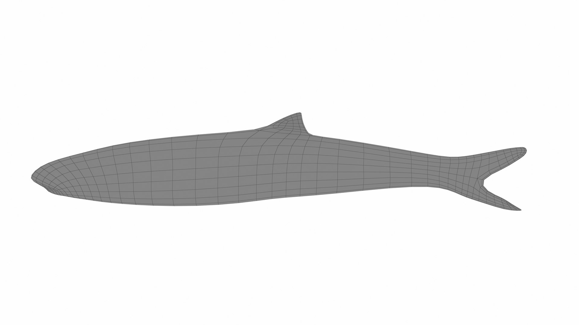 3D Model Anchovy - TurboSquid 2387069