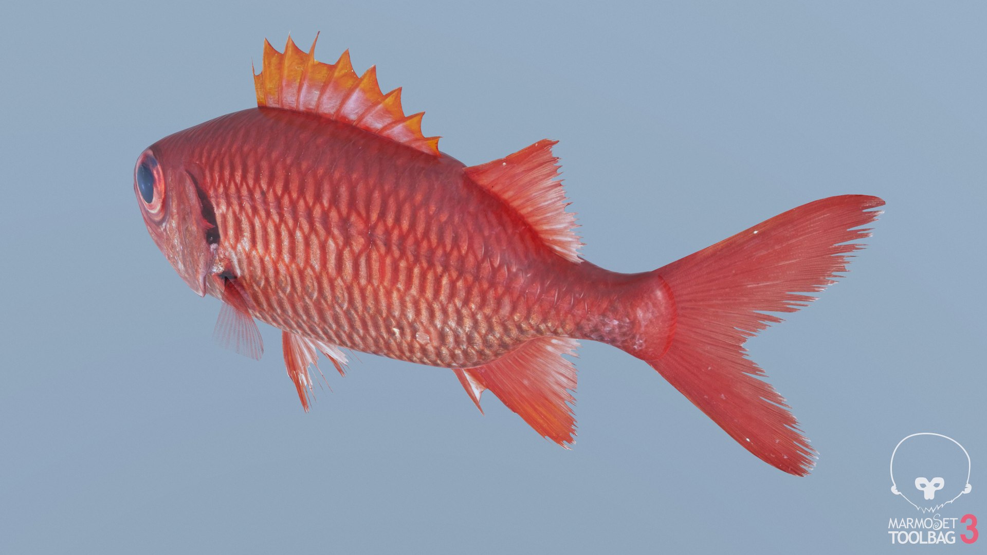 Soldierfish Pbr 3D - TurboSquid 1445653