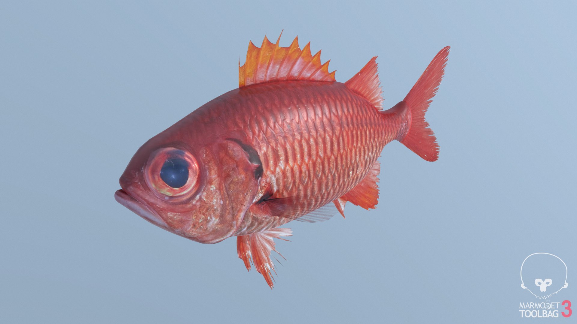 Soldierfish Pbr 3D - TurboSquid 1445653