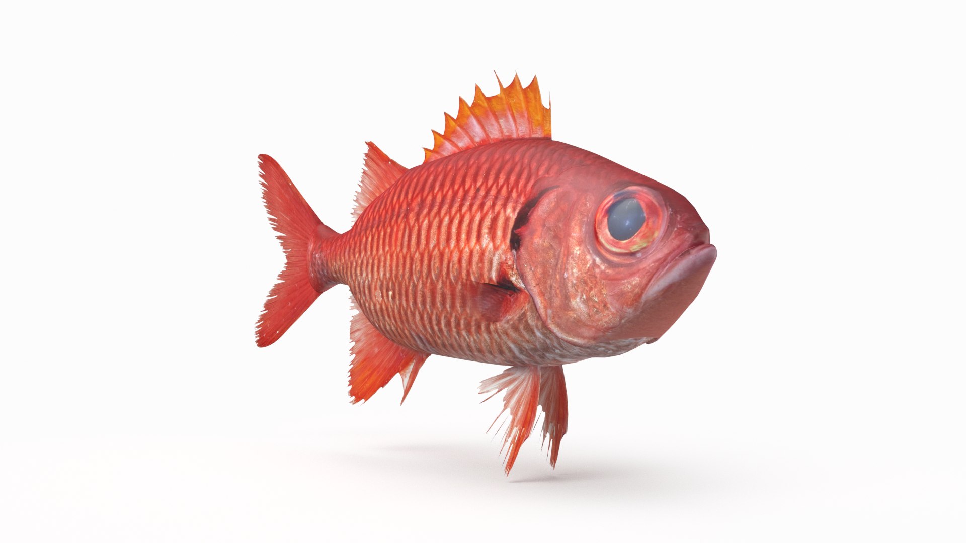 Soldierfish Pbr 3D - TurboSquid 1445653