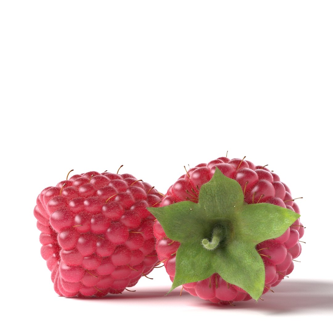 3d Model Raspberry Photorealistic Realistic Real