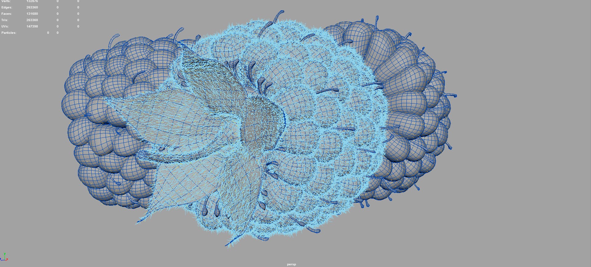 3d Model Raspberry Photorealistic Realistic Real