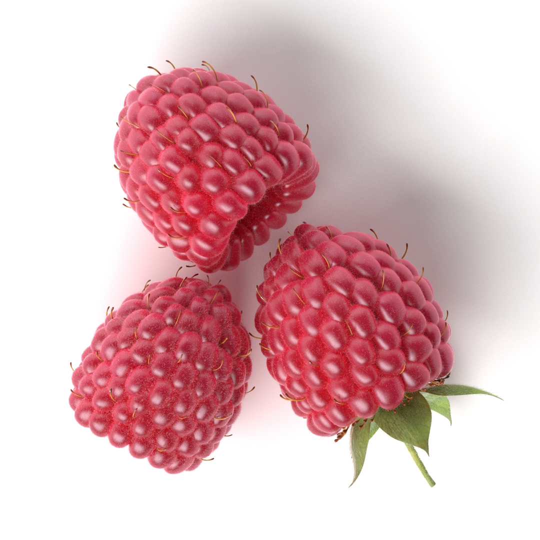 3d model raspberry photorealistic realistic real