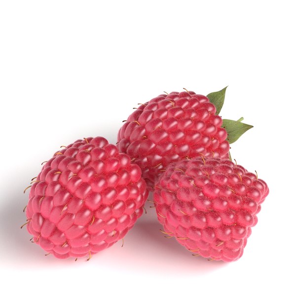 3d model raspberry photorealistic realistic real
