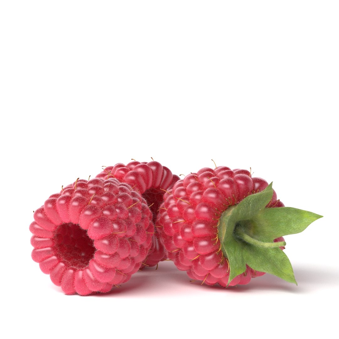 3d Model Raspberry Photorealistic Realistic Real