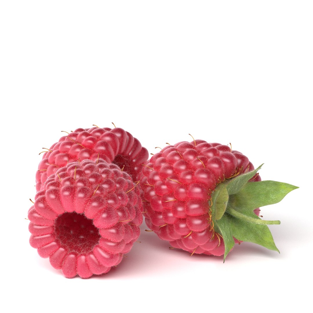 3d Model Raspberry Photorealistic Realistic Real