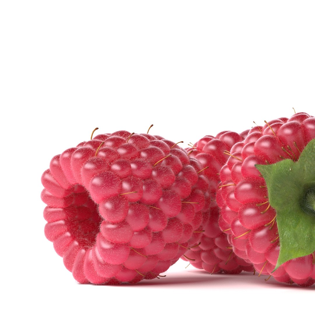3d Model Raspberry Photorealistic Realistic Real