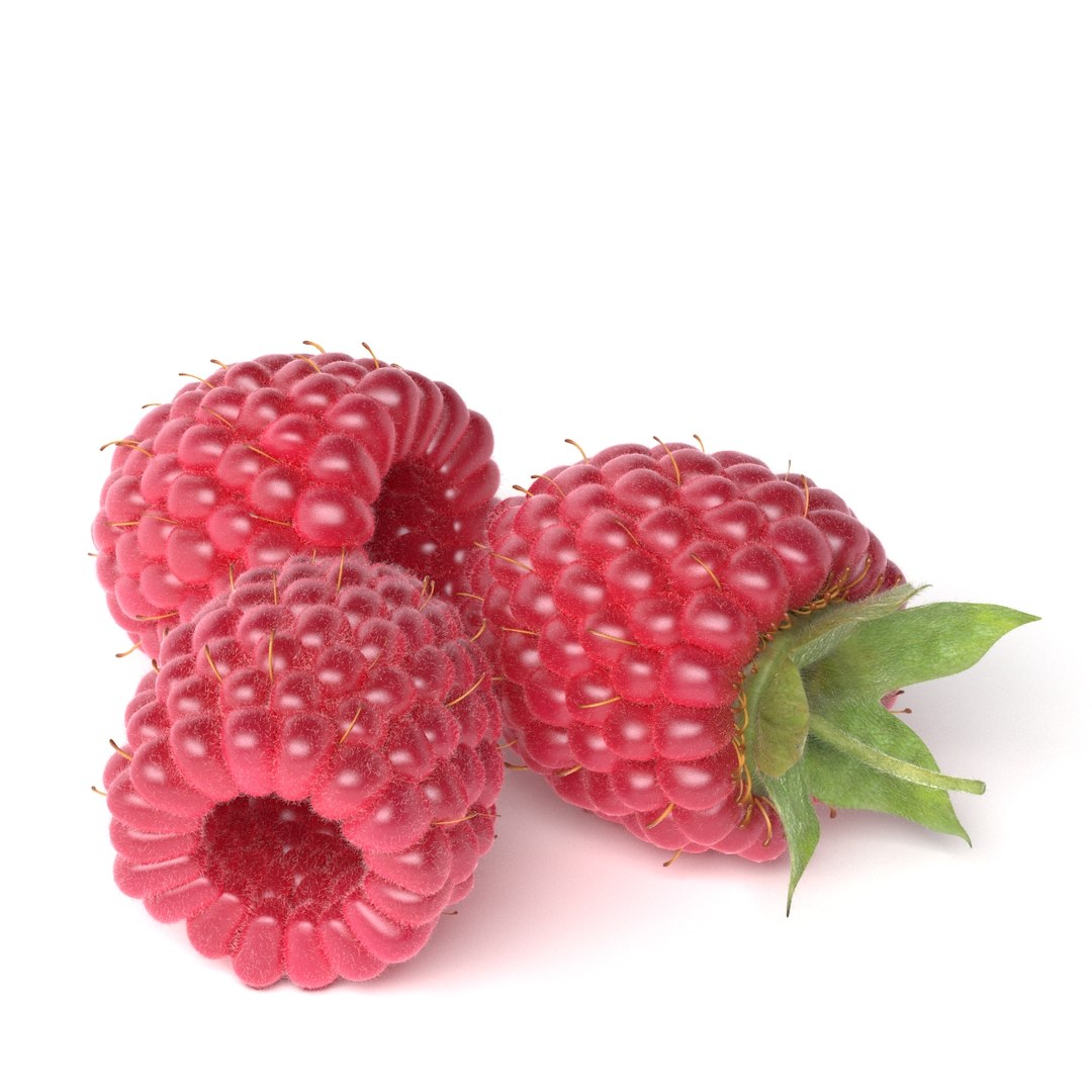 3d Model Raspberry Photorealistic Realistic Real