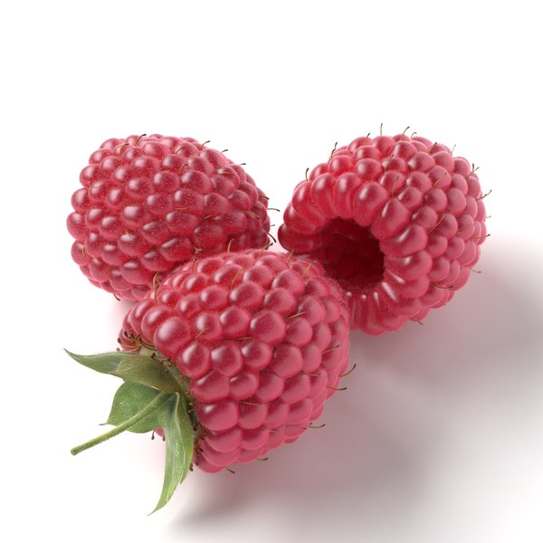 3d model raspberry photorealistic realistic real