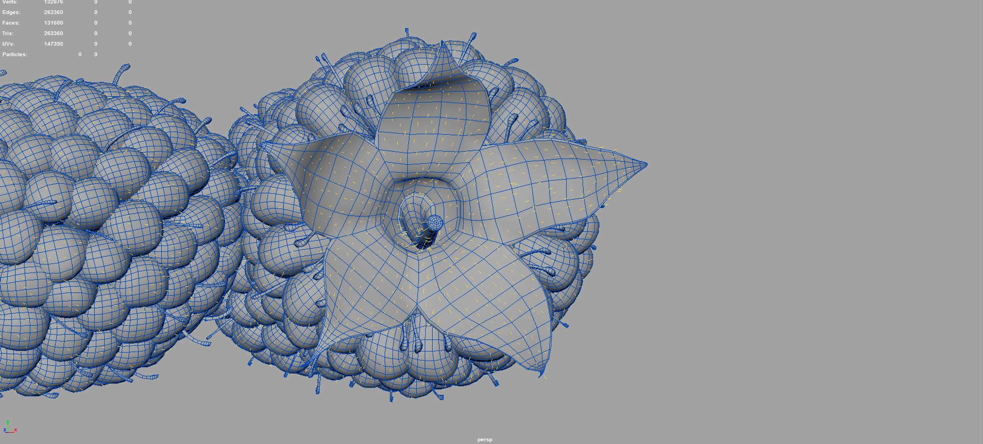 3d model raspberry photorealistic realistic real