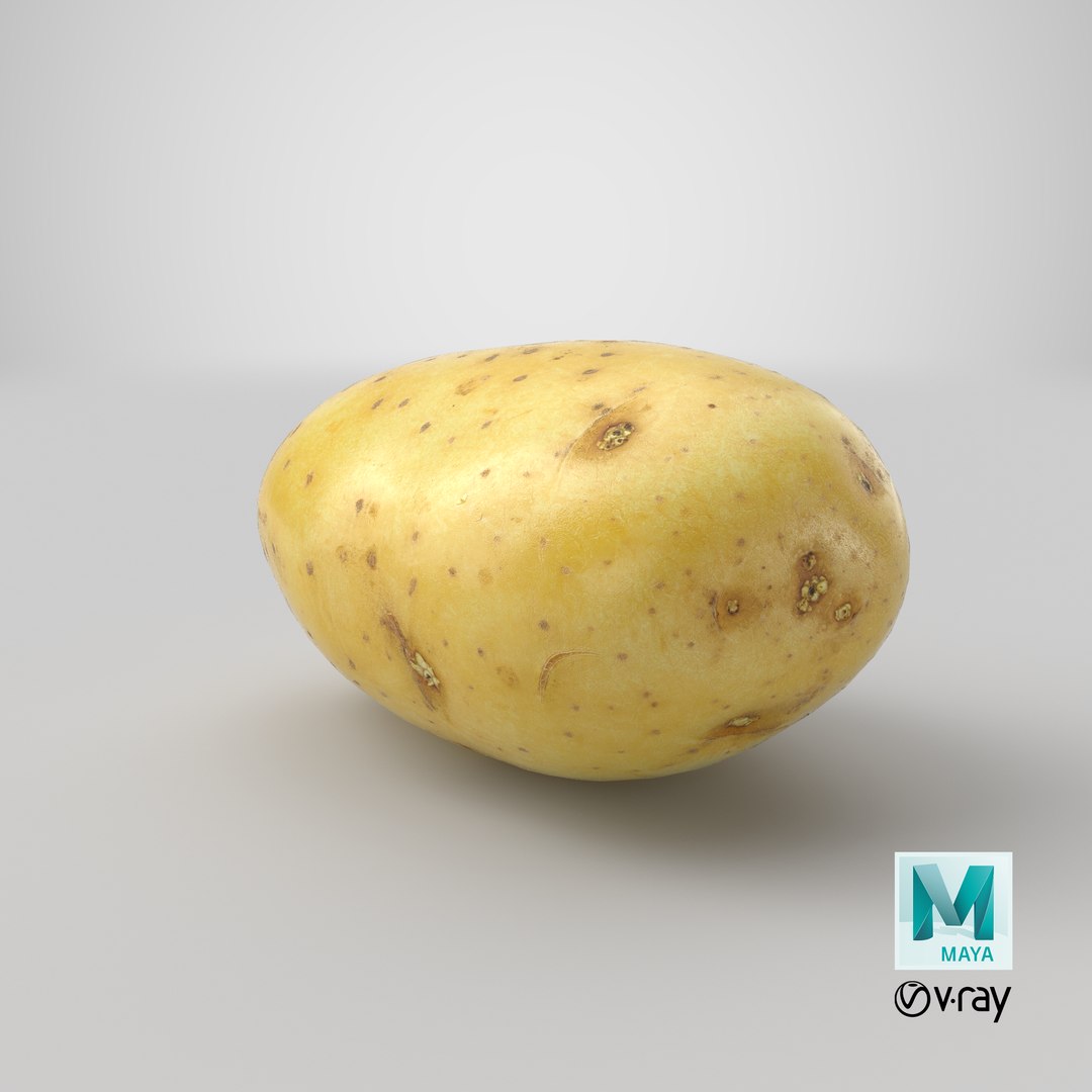 Potato clean ready 05 3D model - TurboSquid 1434303