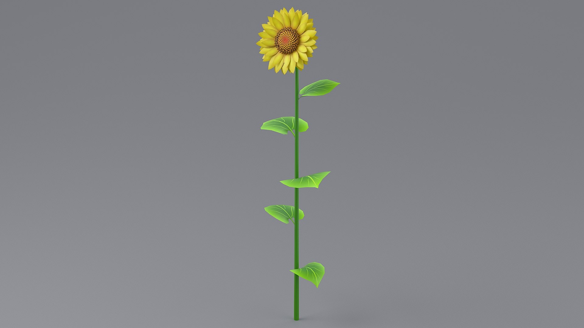 Cartoon Sunflower 03 3D Model - TurboSquid 2049062