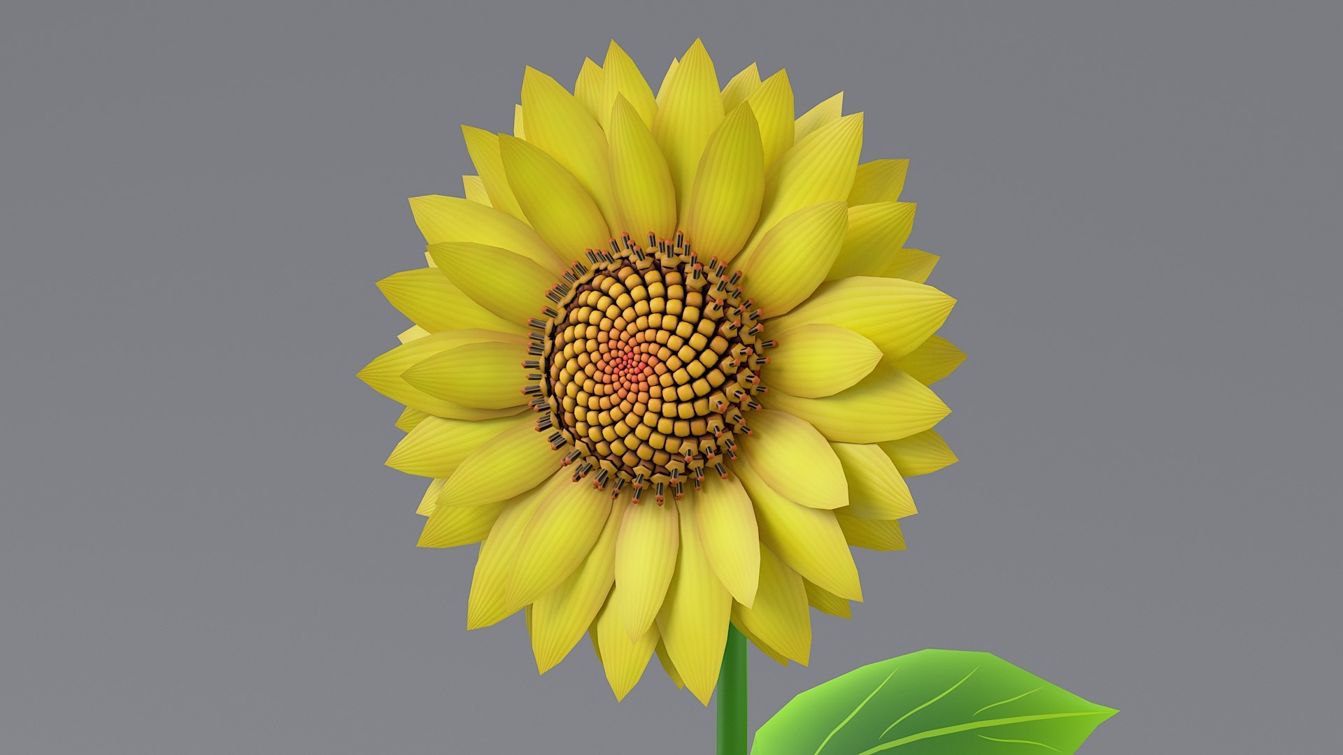 Cartoon Sunflower 03 3D Model - TurboSquid 2049062