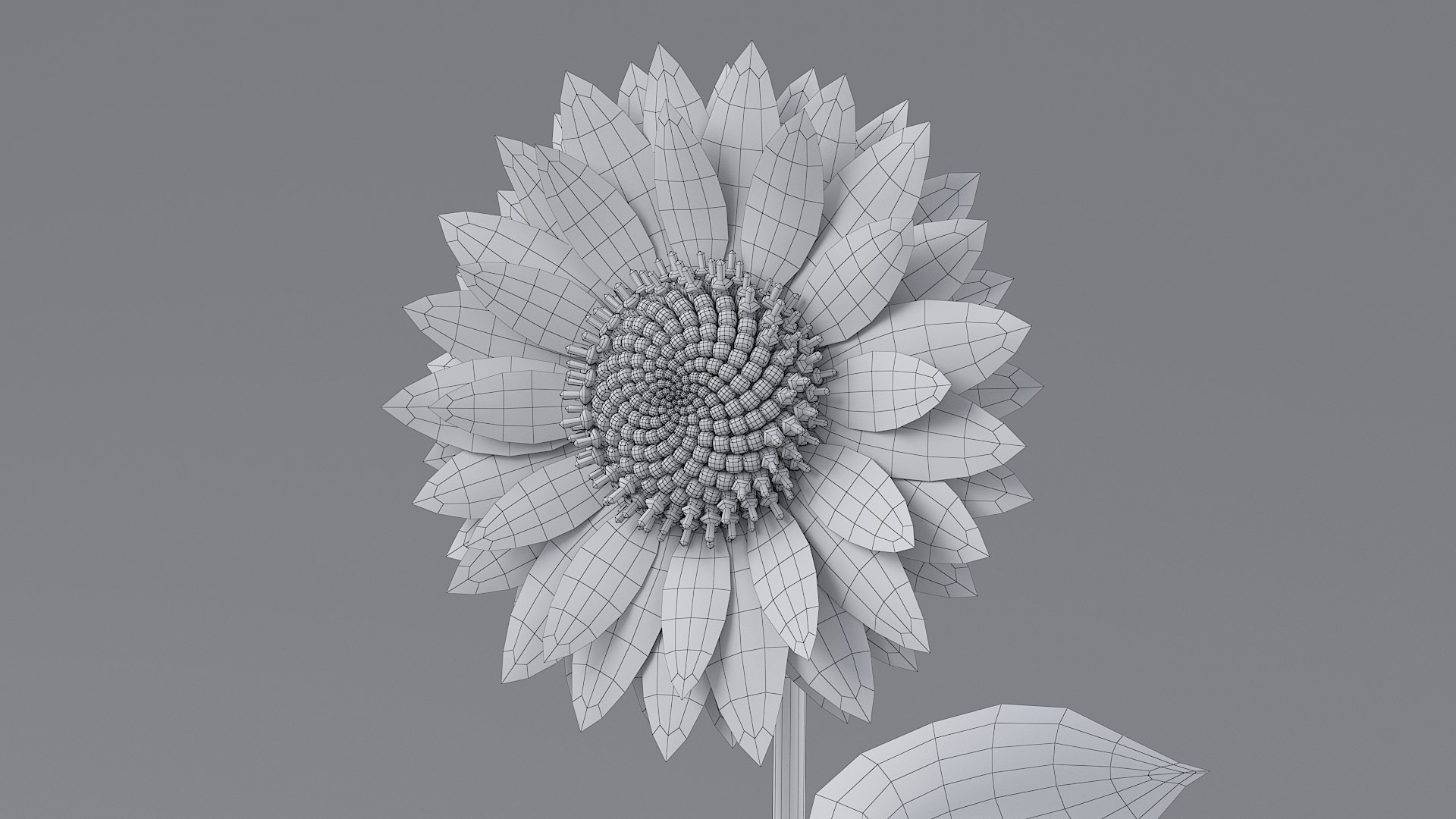 Cartoon Sunflower 03 3D Model - TurboSquid 2049062