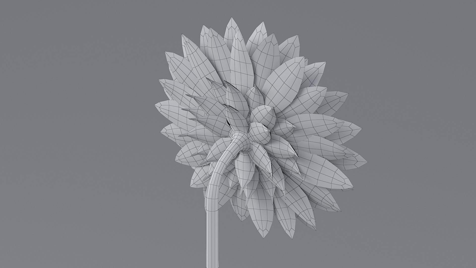 Cartoon Sunflower 03 3D Model - TurboSquid 2049062