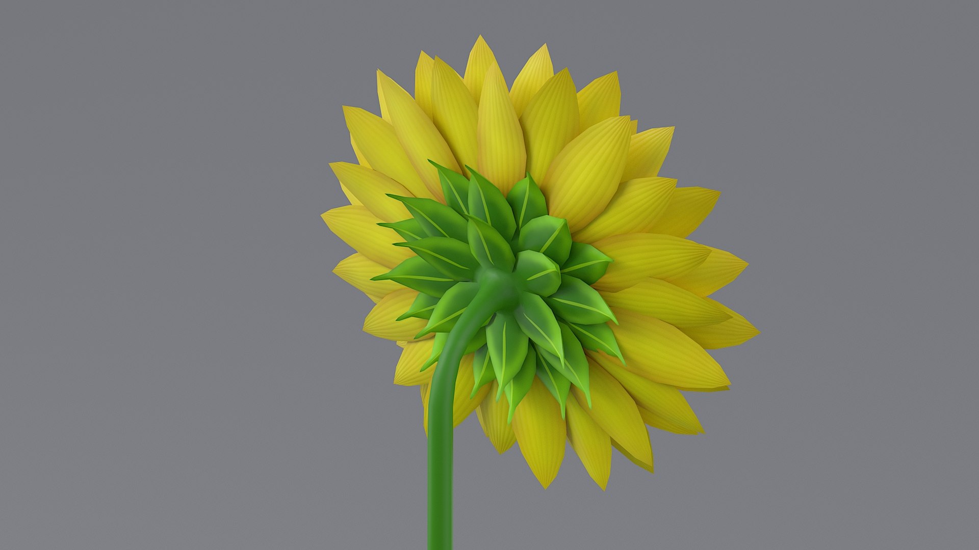 Cartoon Sunflower 03 3D Model - TurboSquid 2049062