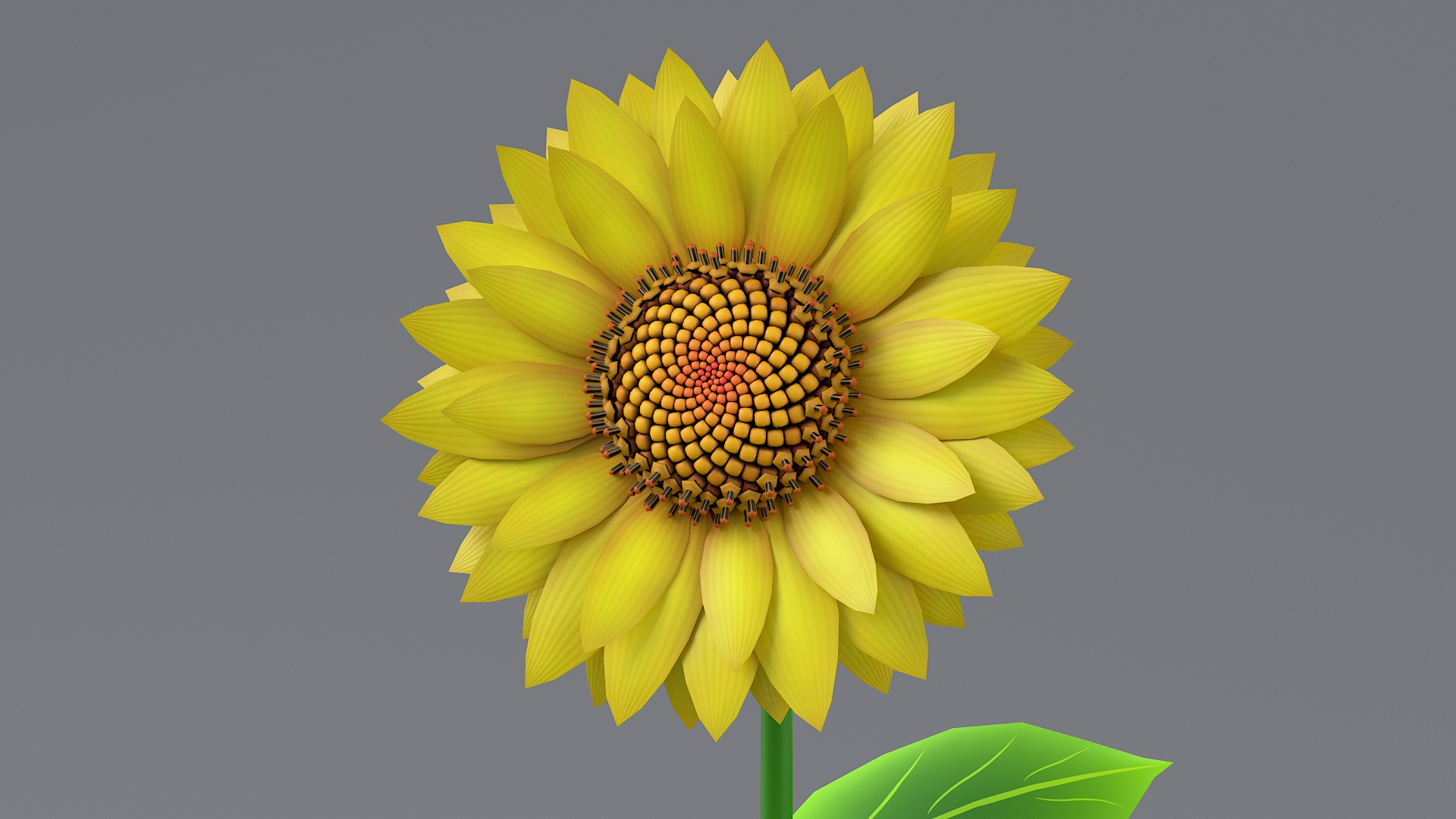 Cartoon Sunflower 03 3D Model - TurboSquid 2049062
