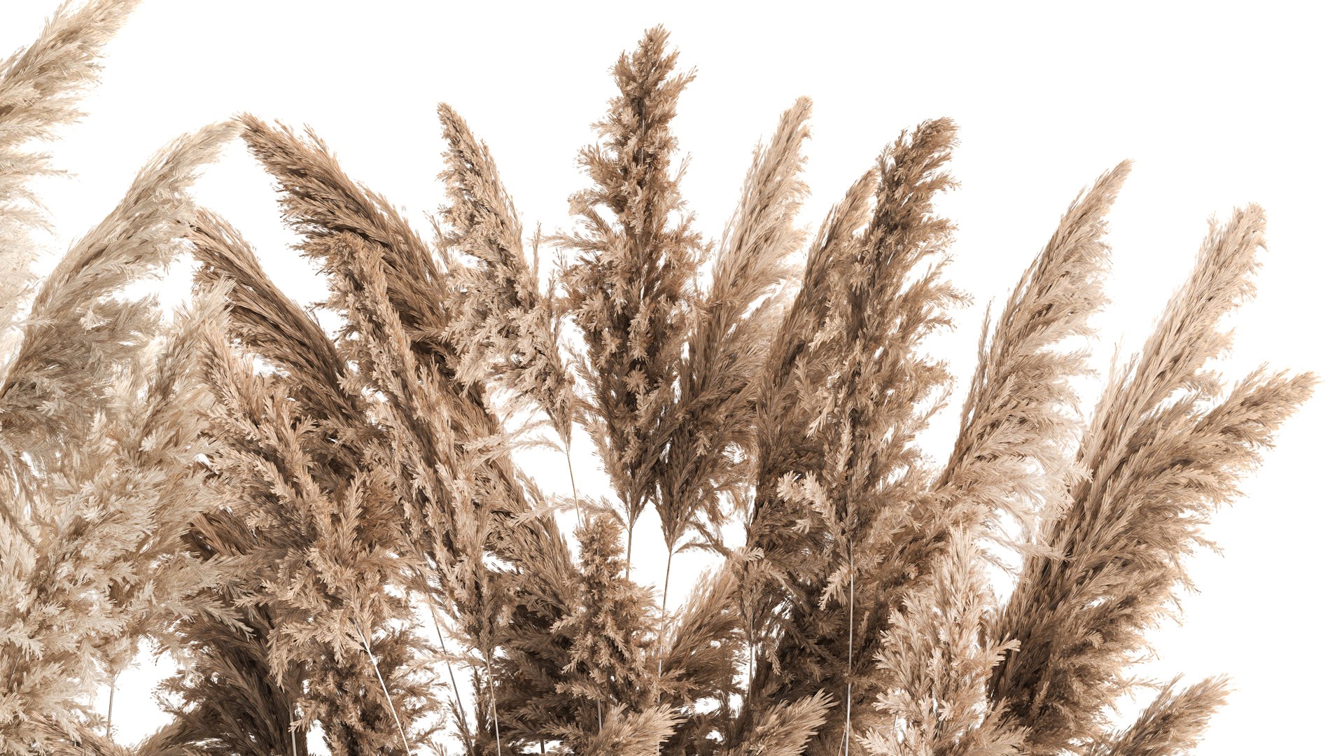 Bouquet Of Dry Reeds and pampas grass In A Rusty Pots 3D model ...