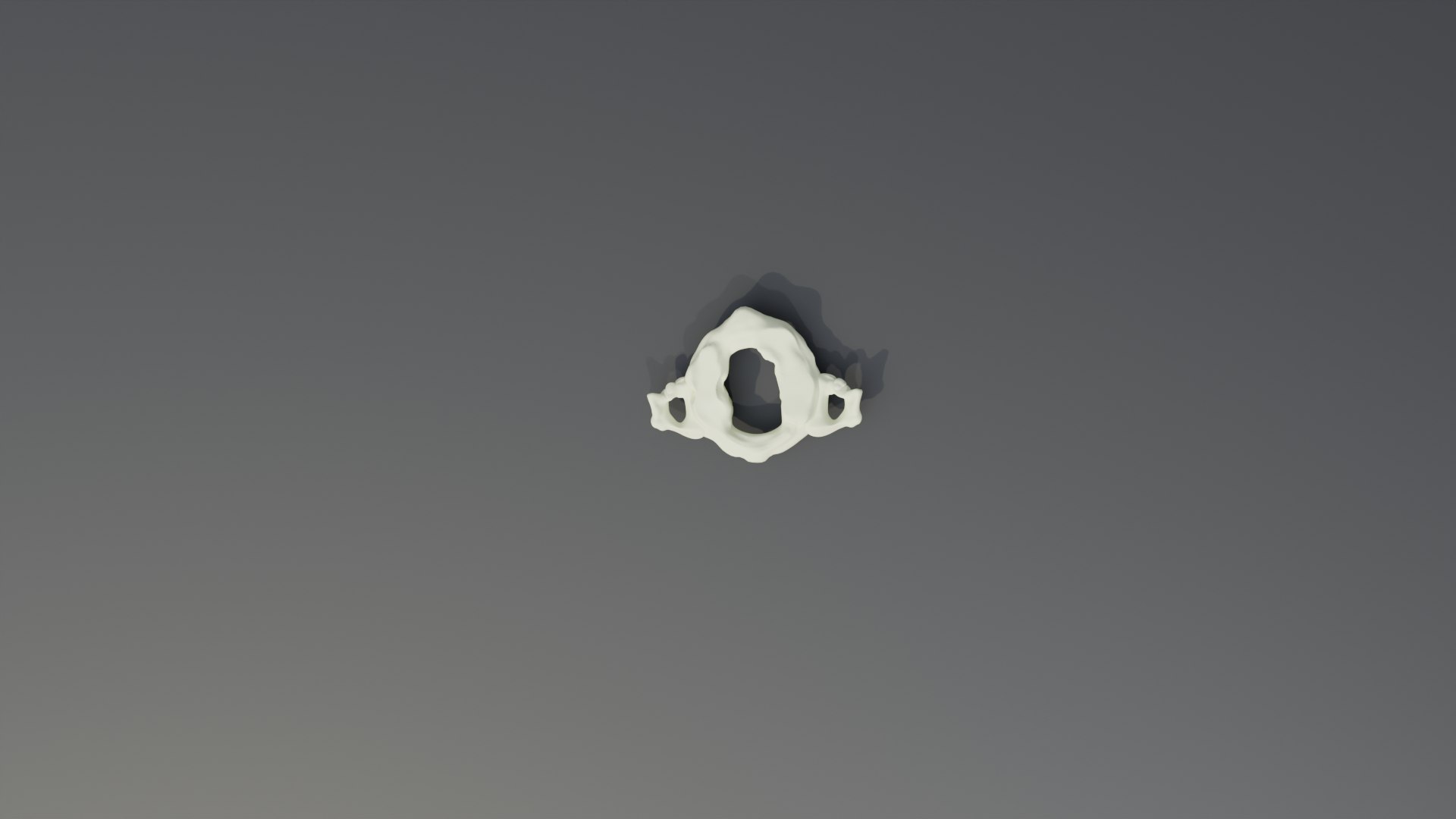 3D Atlas First Cervical Vertebra Model - TurboSquid 2325291