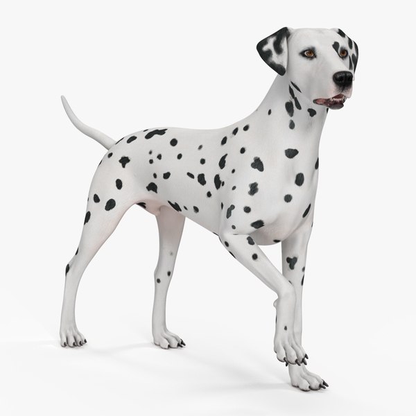 Rigged Dog 3D Models for Download | TurboSquid