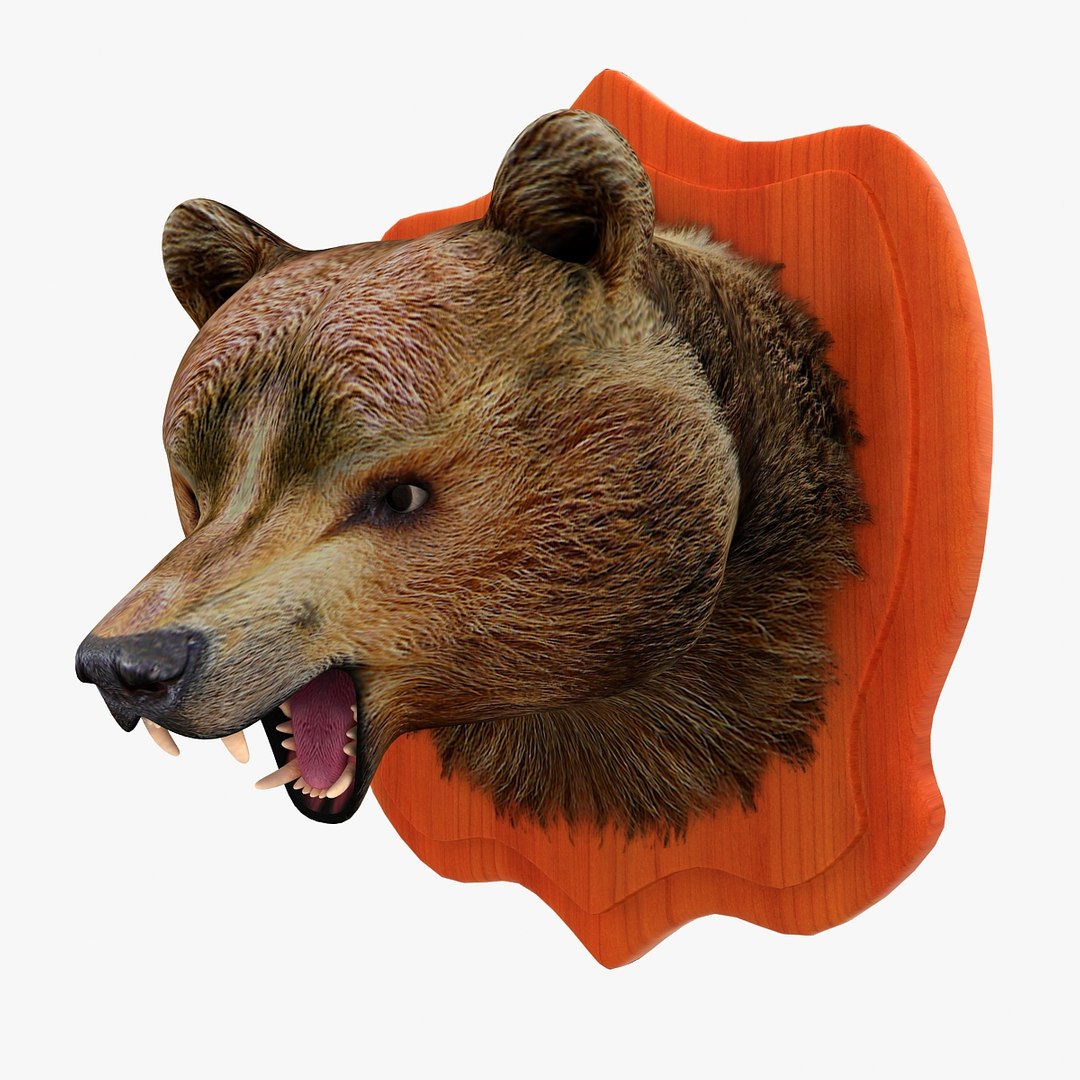 3d Model Trophy Animal Heads