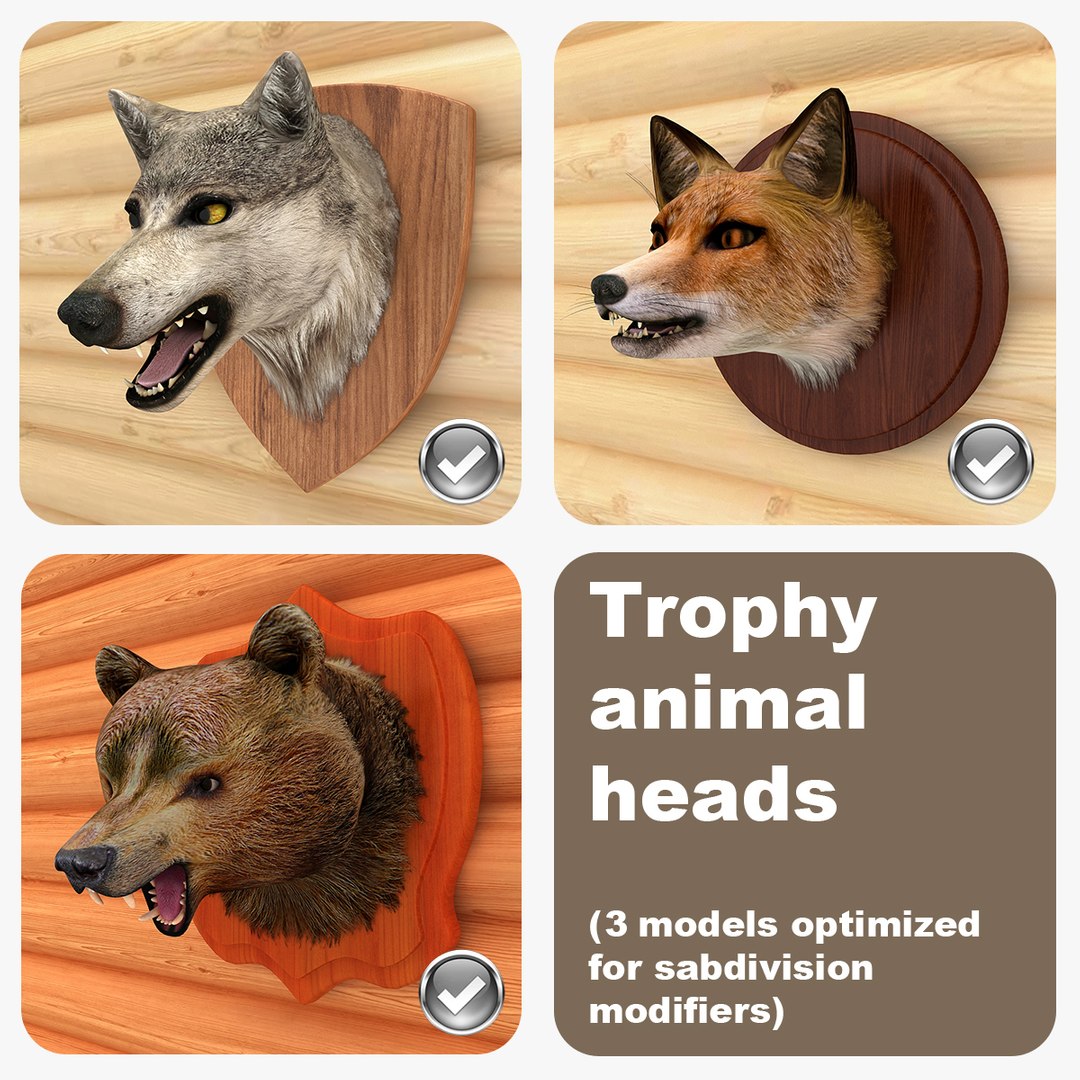 3d Model Trophy Animal Heads