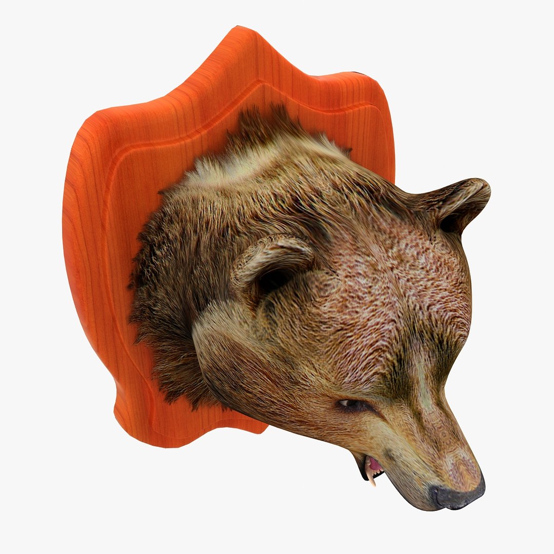 3d Model Trophy Animal Heads