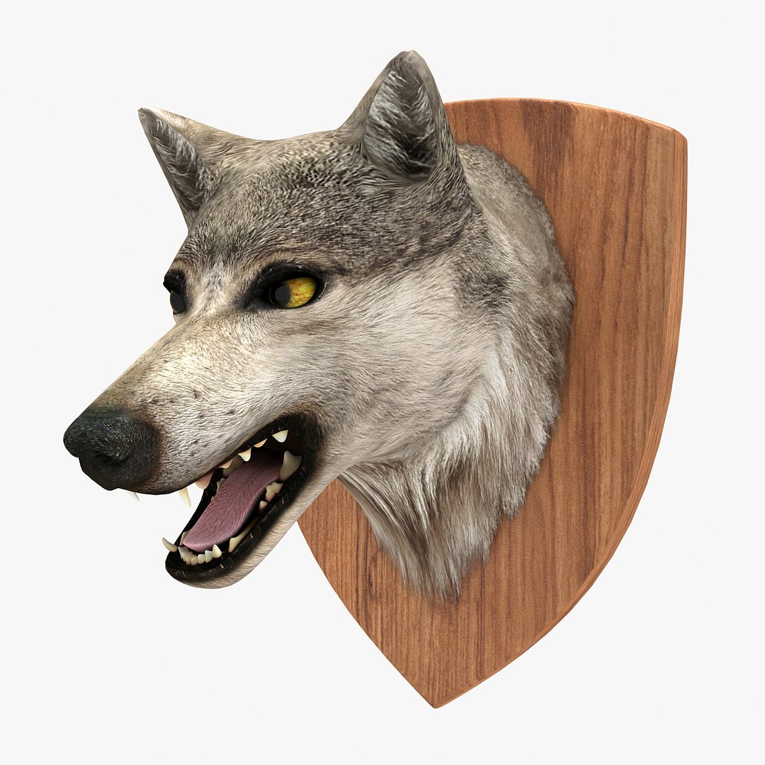 3d Model Trophy Animal Heads