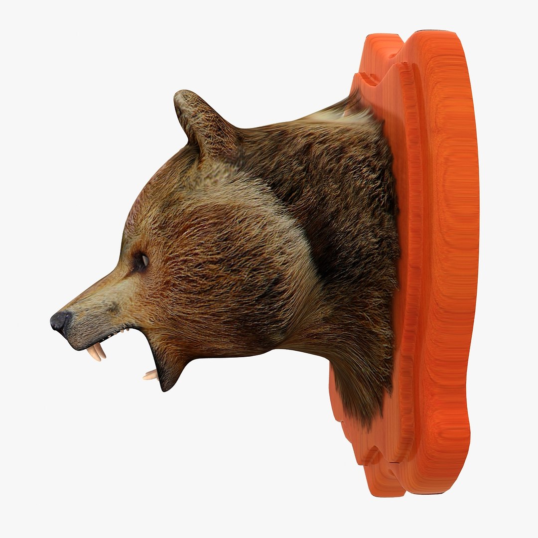 3d Model Trophy Animal Heads