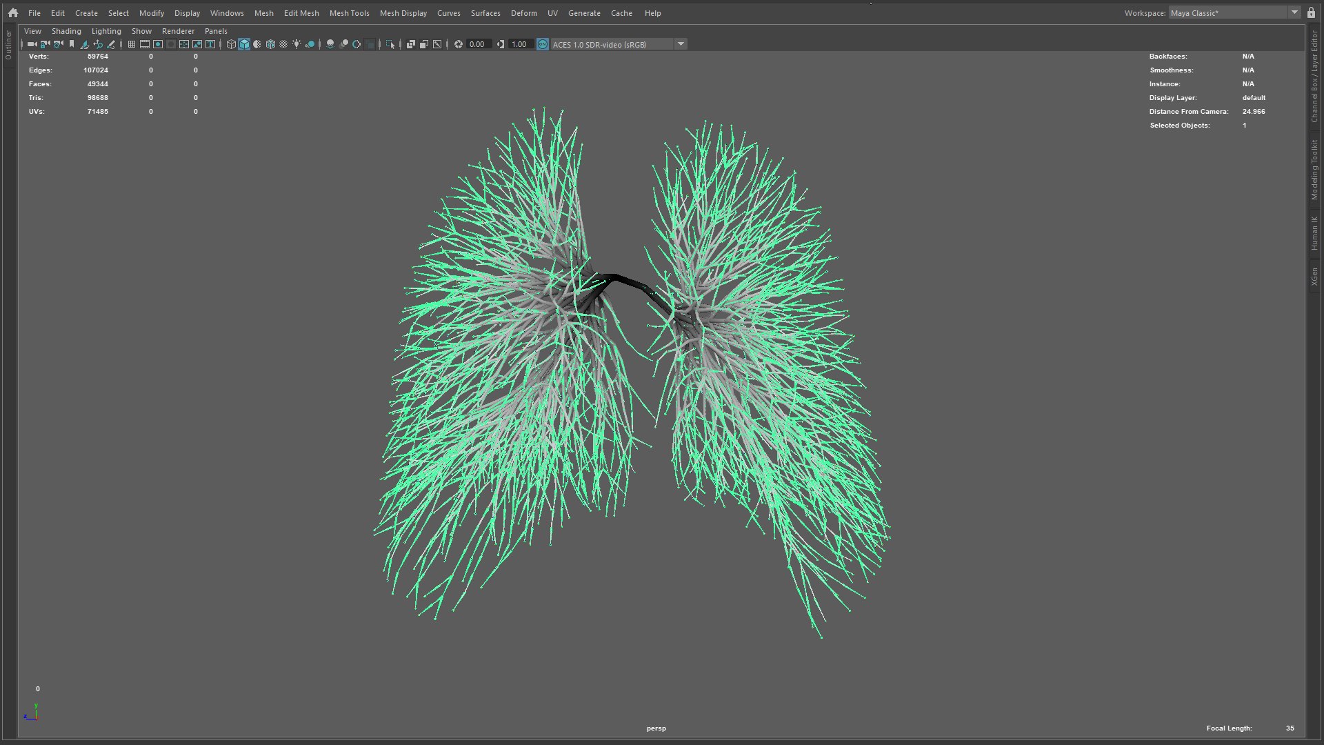 Human Lungs Unrolling Growing Animation Model - TurboSquid 1979564