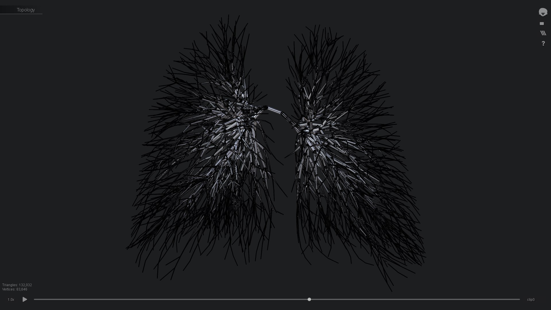 Human Lungs Unrolling Growing Animation Model - TurboSquid 1979564