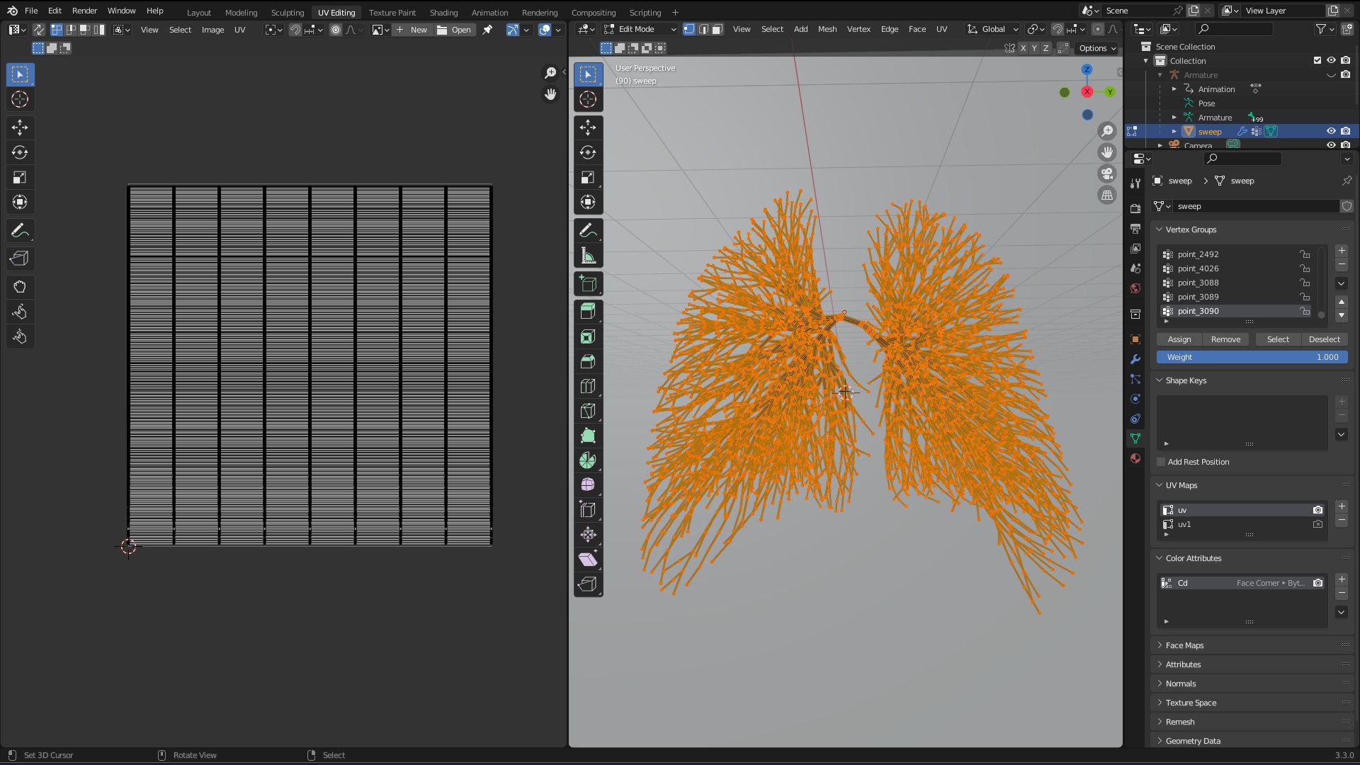 Human Lungs Unrolling Growing Animation Model - TurboSquid 1979564