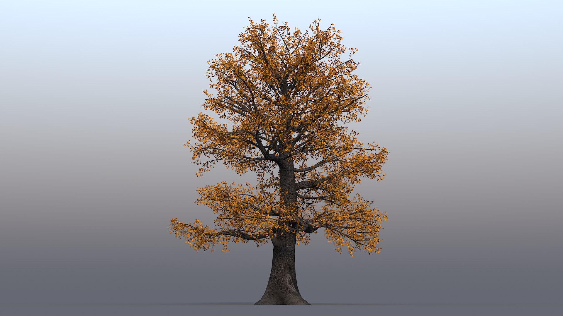 3D Oak Tree 01 Model - TurboSquid 1622062